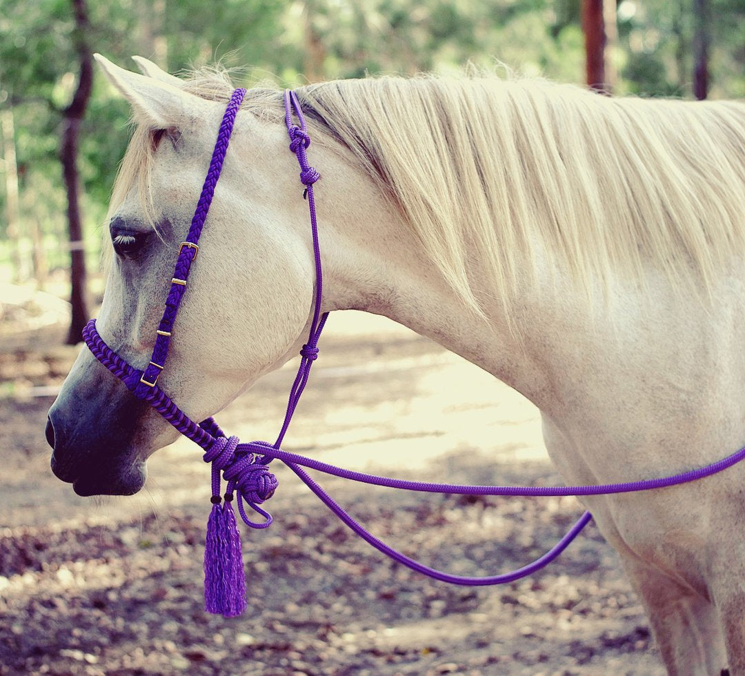 The Bosal Set - How To – Medinaa