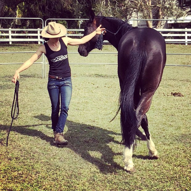 Spotlight: The Cordeo – Medinaa